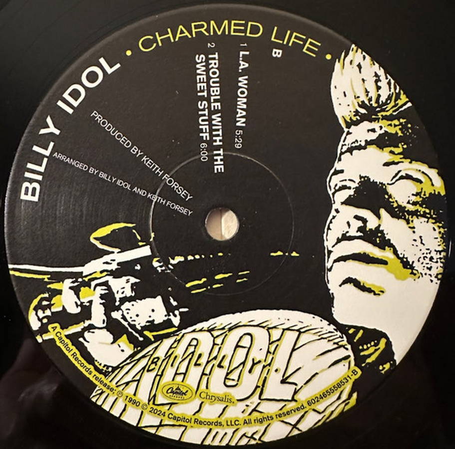 Billy Idol – Charmed Life (2LP) - Купить виниловую пластинку