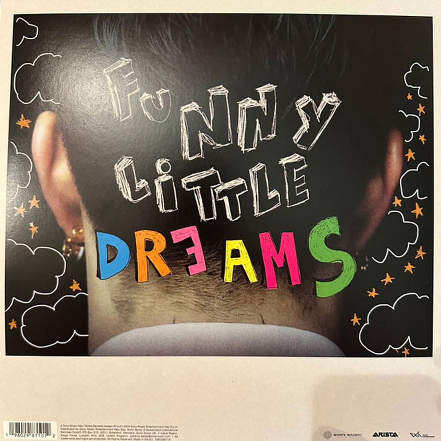 Damiano David – Funny Little Fears (Dreams) 2LP sparkle - Купить ...