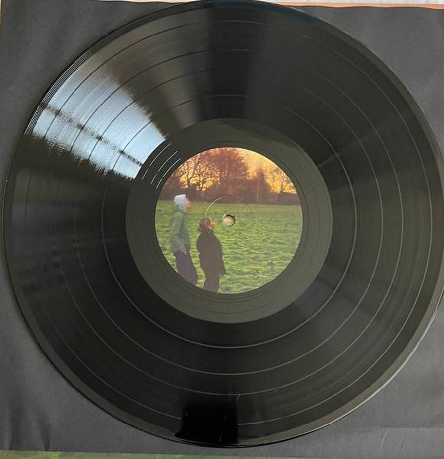 Fred again.. & Brian Eno – Secret Life - Купить виниловую пластинку