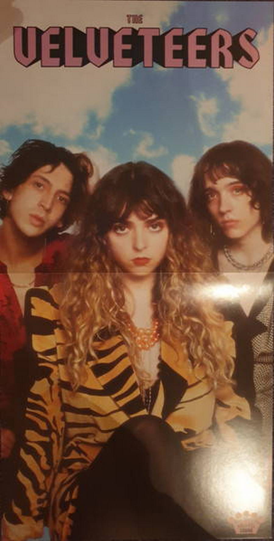The Velveteers – Nightmare Daydream - Купить виниловую пластинку