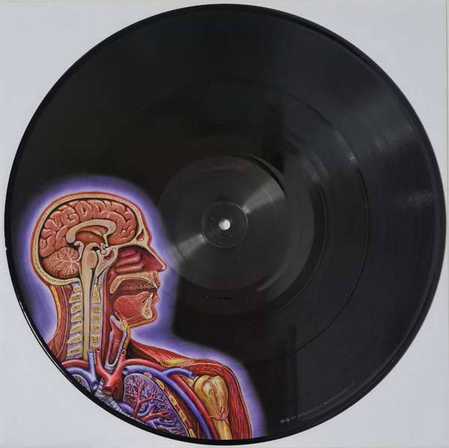 Tool – Lateralus 2LP (Picture Disc) - Купить виниловую пластинку